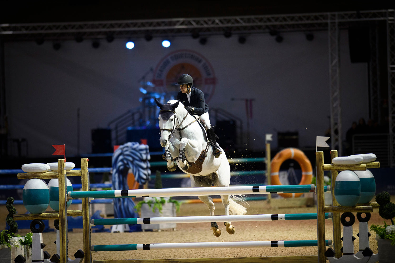 Rx Equine | Keeping your horse healthy and safe.