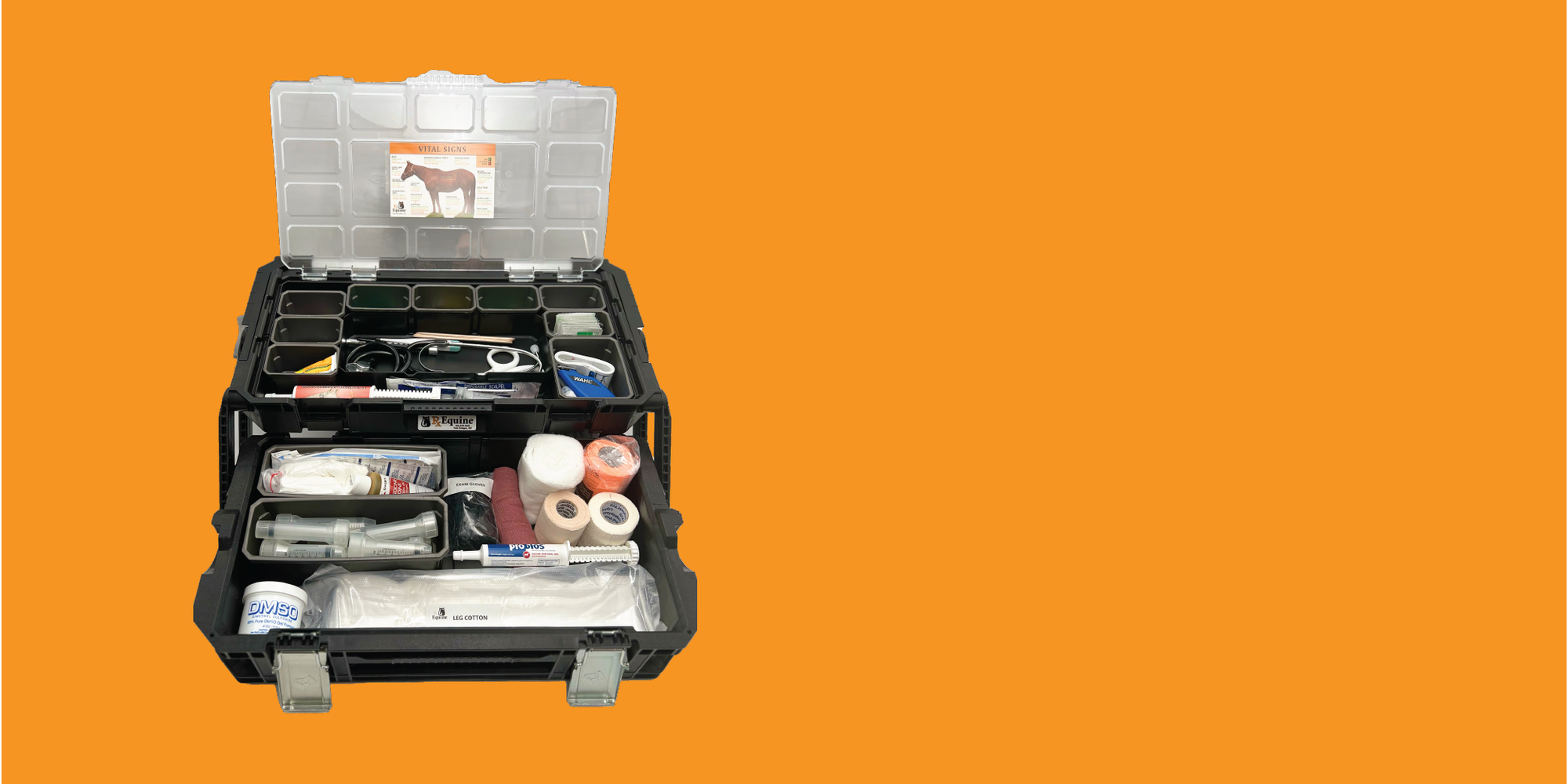 Rx Equine | Keeping your horse healthy and safe.