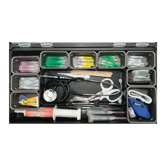 The Professional Equine First Aid Kit – Rx Equine